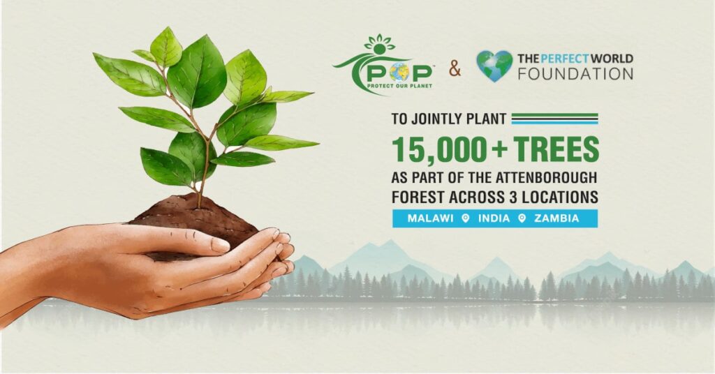POP Movement Tree Plantation Initiative - The POP Movement